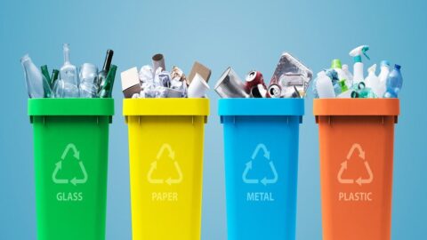 Exploring Waste Management and Its Impact