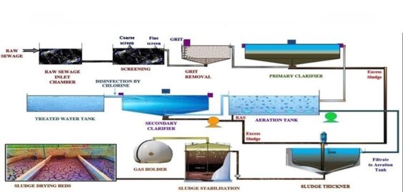 What is STP Plant & How does it work?